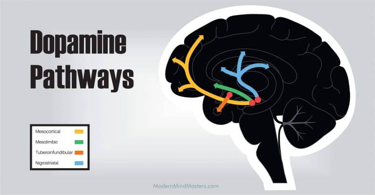 How to Increase Dopamine Naturally - The Right Way