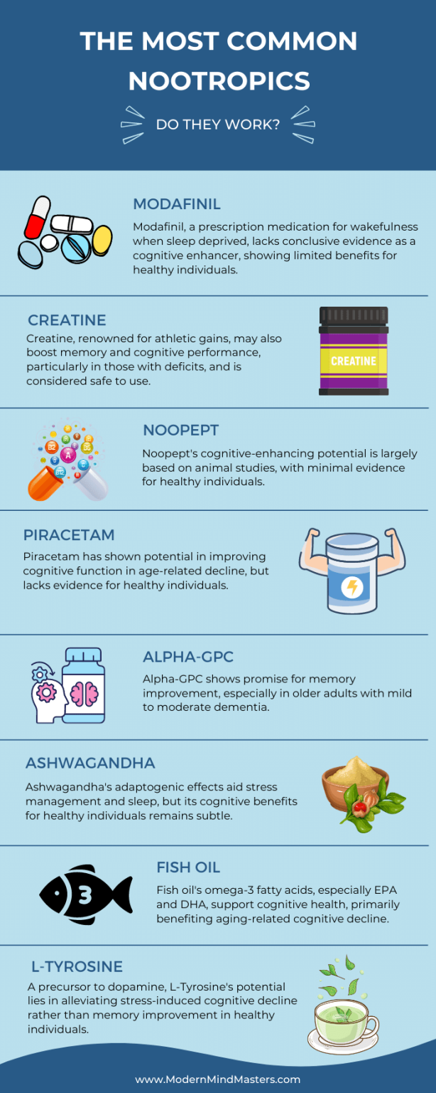 The Best Nootropics for Focus, Memory, and Performance